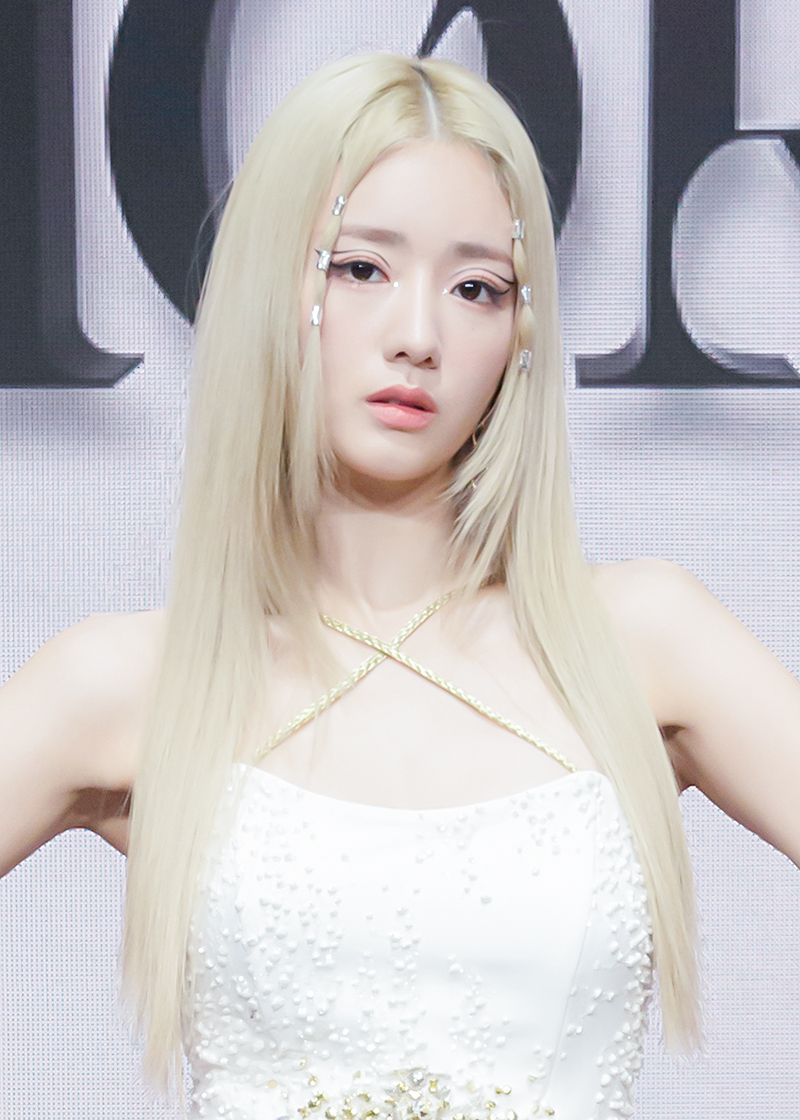 포토 에이핑크 윤보미 엘프