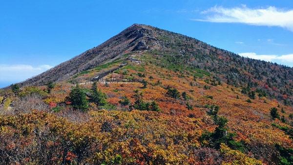 설악산 첫 단풍 시작10월 19일쯤 절정