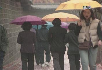 Mbc News