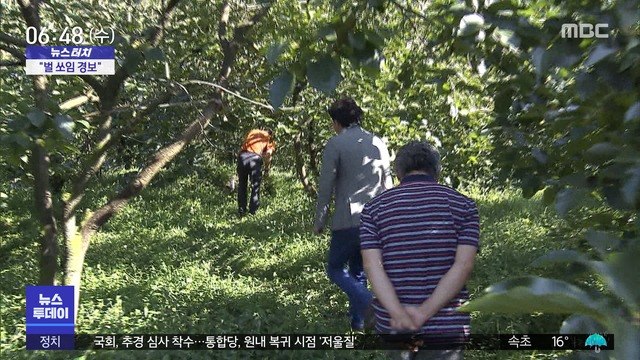 뉴스터치 벌쏘임 사고 주의예보제 7월부터 운영