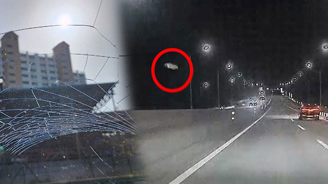와글와글 시속 100km 차에 날아든 물병도대체 누가 던졌나
