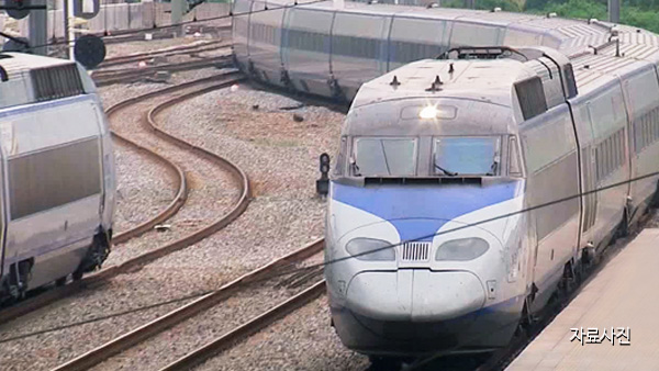 서울행 KTX 너구리와 충돌…2시간 가까이 지연 운행