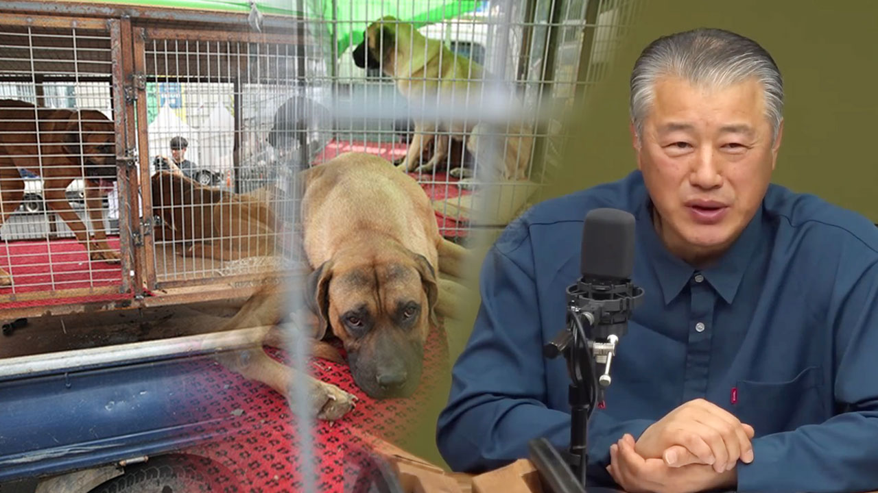 The Korean Dog Association's Controversial Plan: Releasing 2 Million ...
