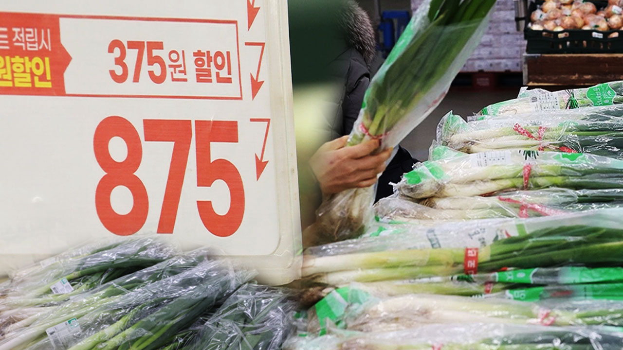 대파 한 단 875원 하나로마트 오늘부턴 1 386원입니다