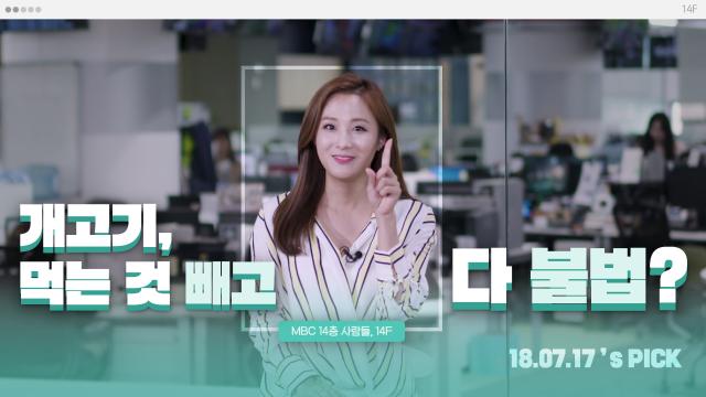 [14F/0717] 개고기, 먹는 것 빼고 다 불법?